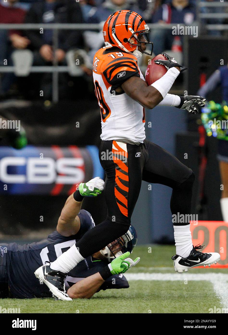 Cincinnati Bengals' Brandon Tate breaks away from Seattle Seahawks ...