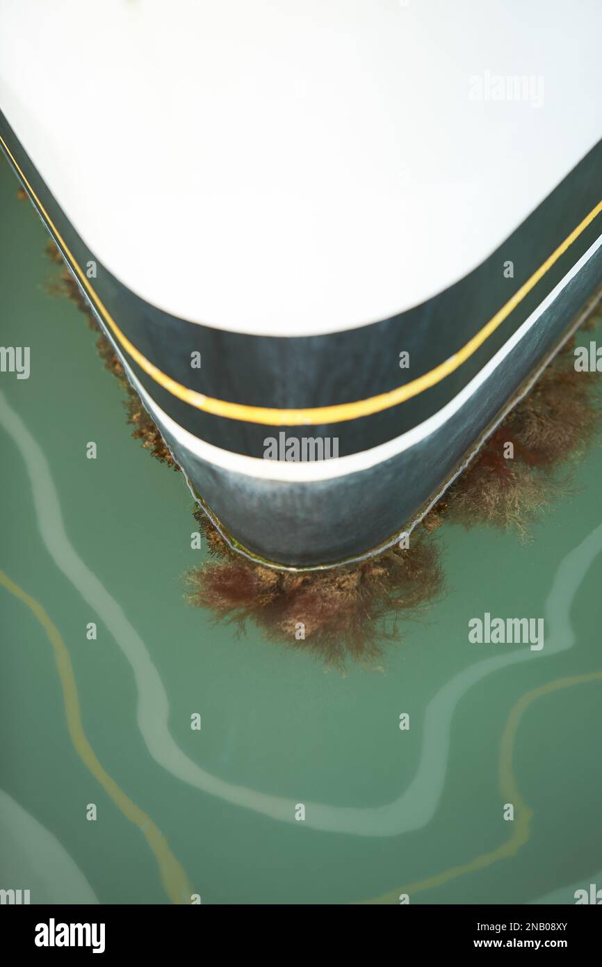 Molluscs, overgrown ship bottom. Shellfish on the hull of the ship ...