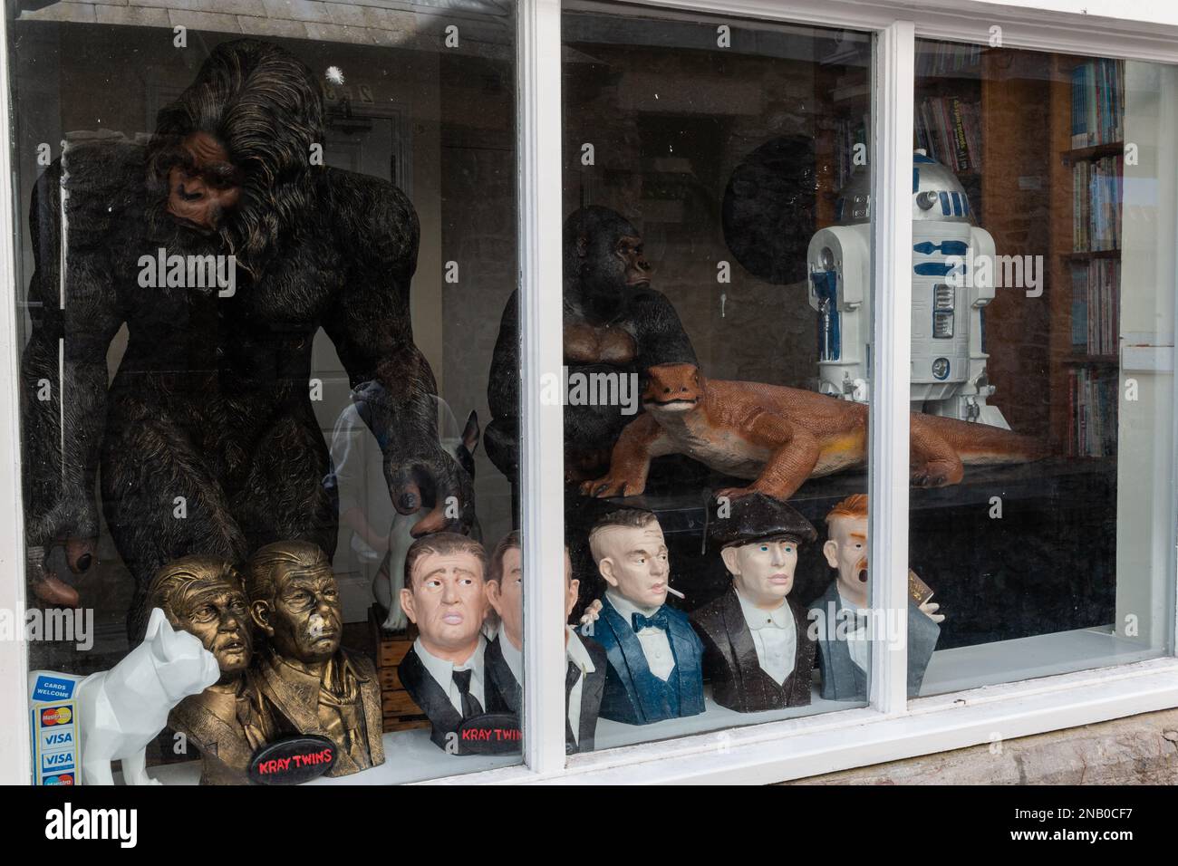Displayed in a window of a shop in Plymouth, Devon, UK are busts of the ...