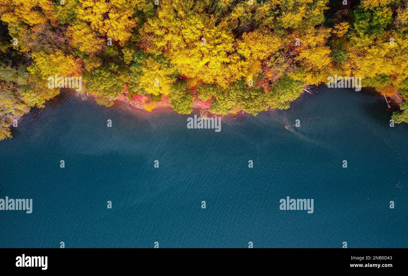 An aerial view of a lush green forest on the shore of Loch Raven Lake ...