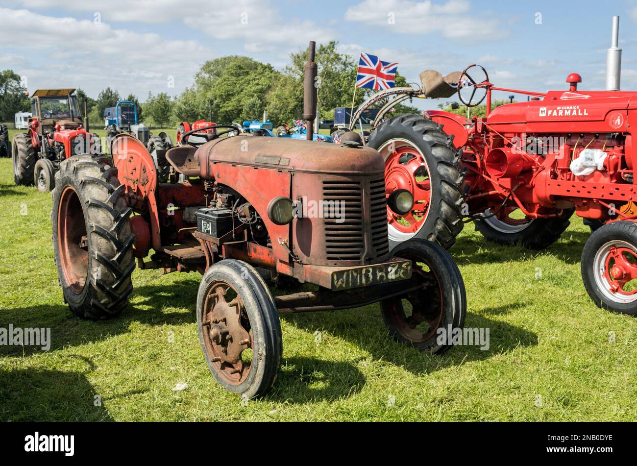 David Brown 25D tractor. Heskin Steam Rally 2022 Stock Photo - Alamy