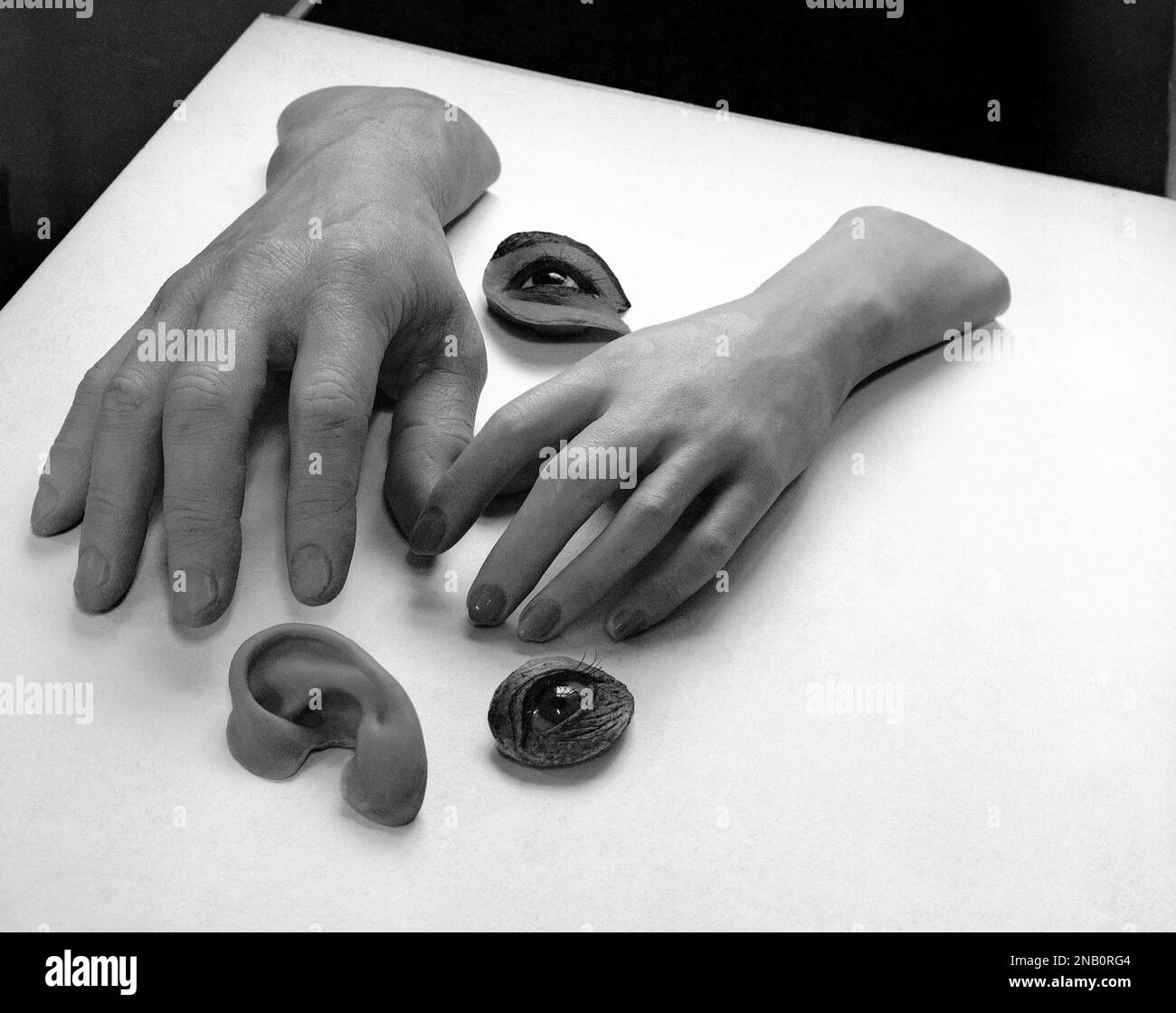 These prosthetics made by Felix B. Weinberg, in Baltimore, Md., include ...