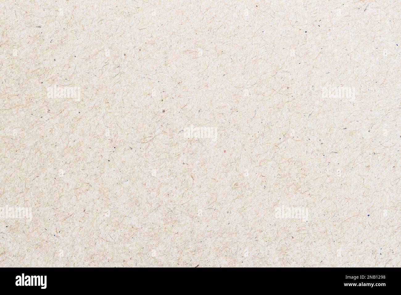 Paper texture cardboard background surface with inclusions of cellulose ...
