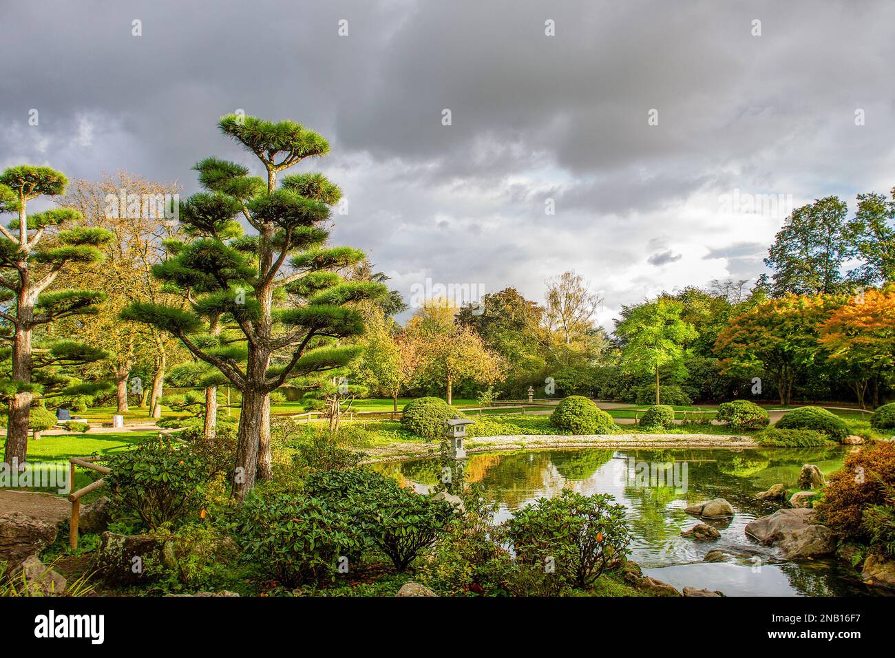 Amazing view on small japanese garden with pond, stones , and pines bonsai - inside Nordpark in ...