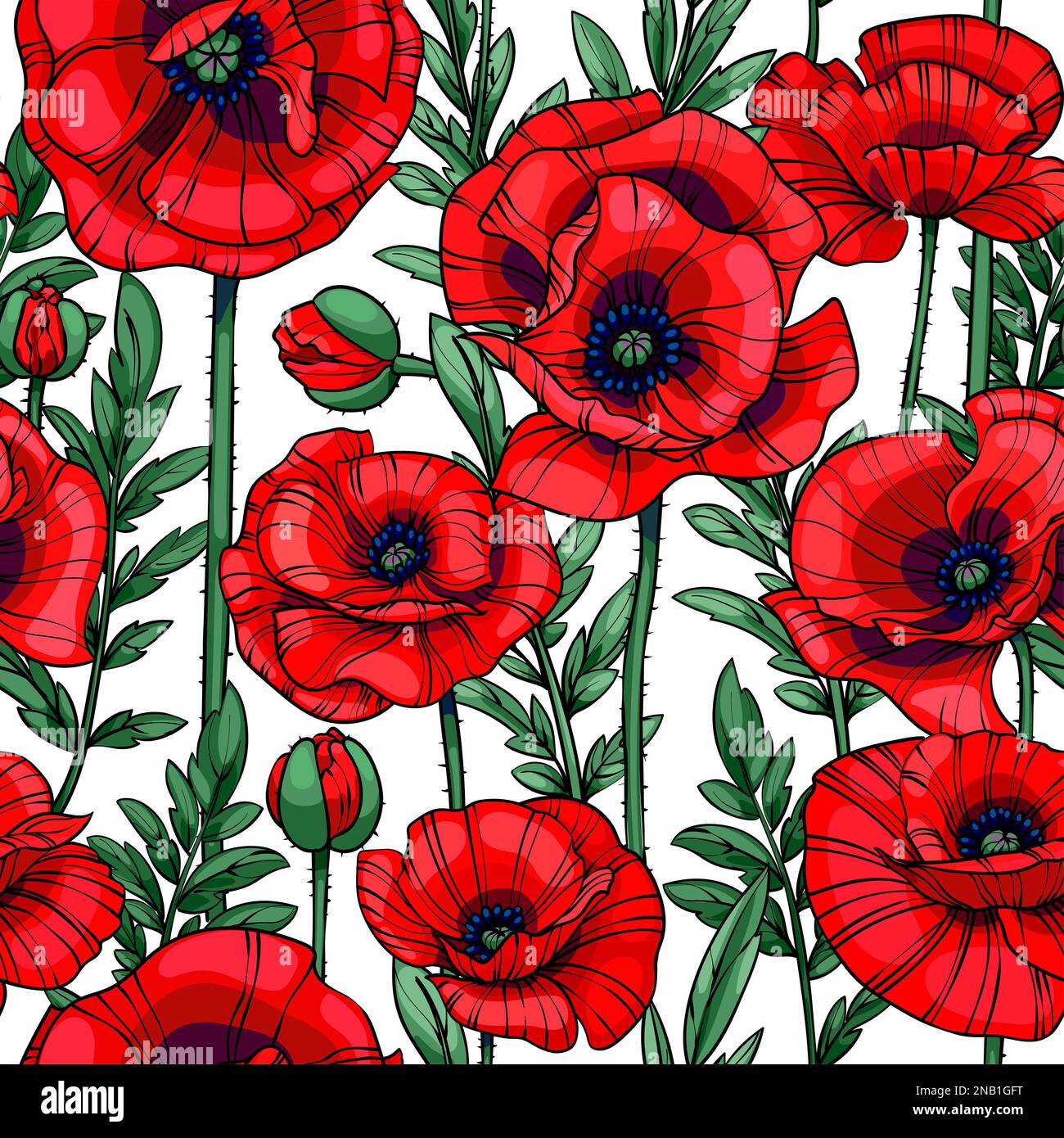 Watercolor red poppies seamless hi-res stock photography and images - Alamy
