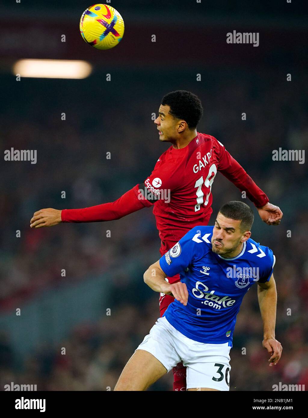 Coady gakpo hi-res stock photography and images - Alamy