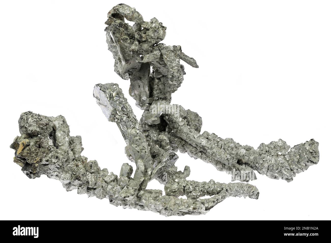 tin from Chihuahua, Mexico isolated on white background Stock Photo - Alamy