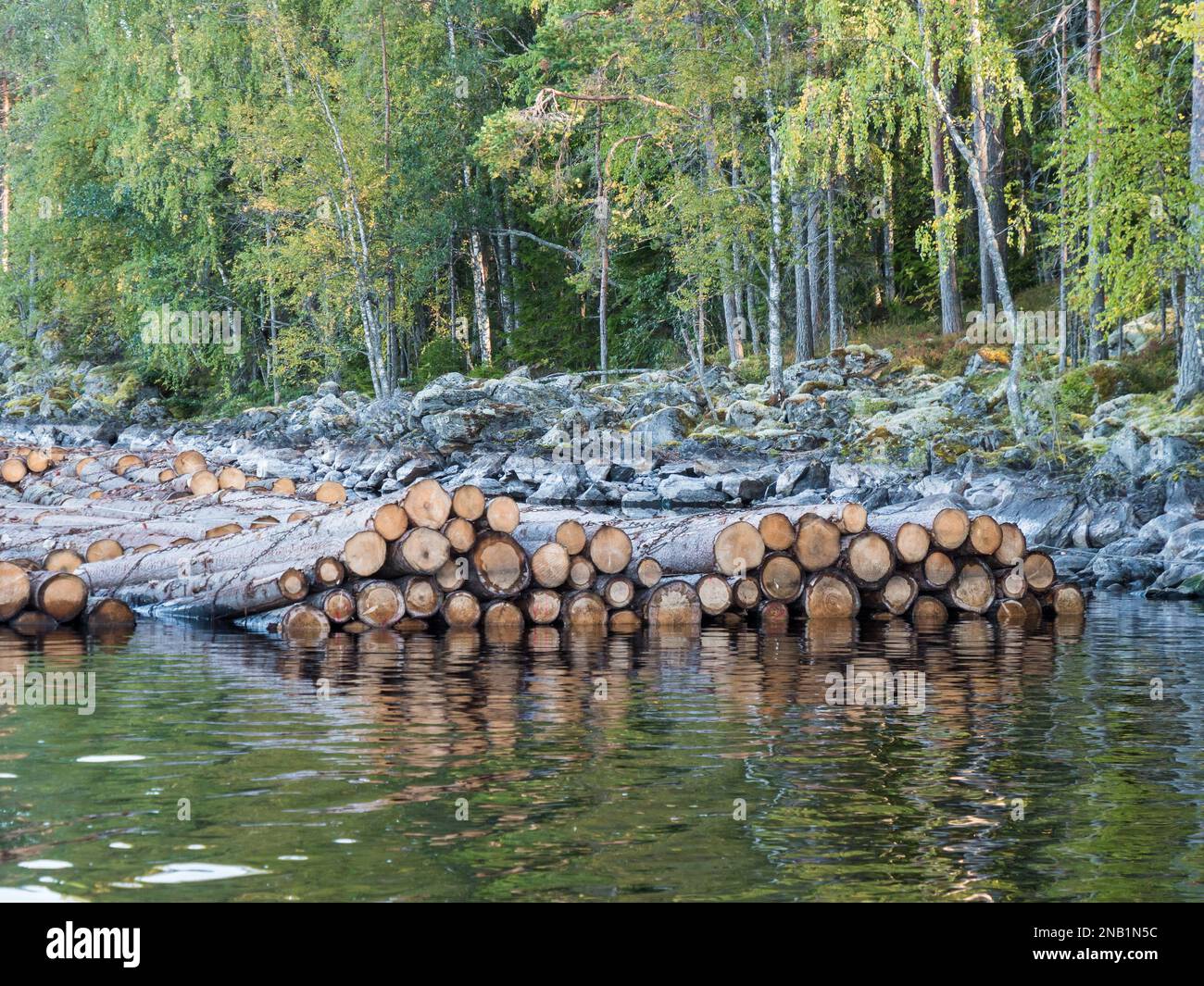 Log rafts floating Stock Photo - Alamy