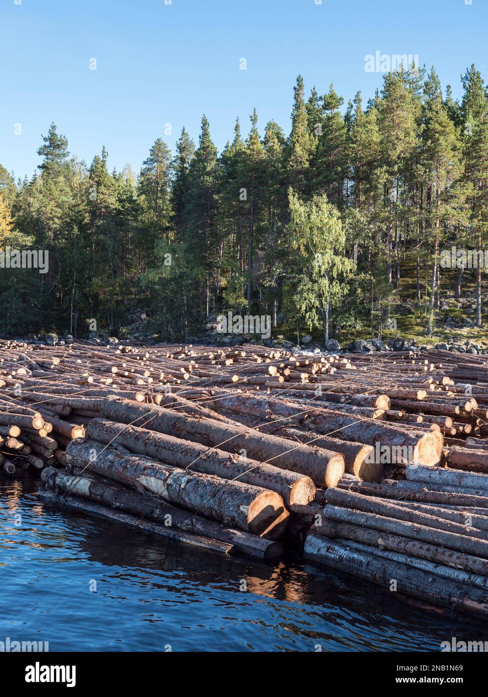 Log rafts floating Stock Photo - Alamy