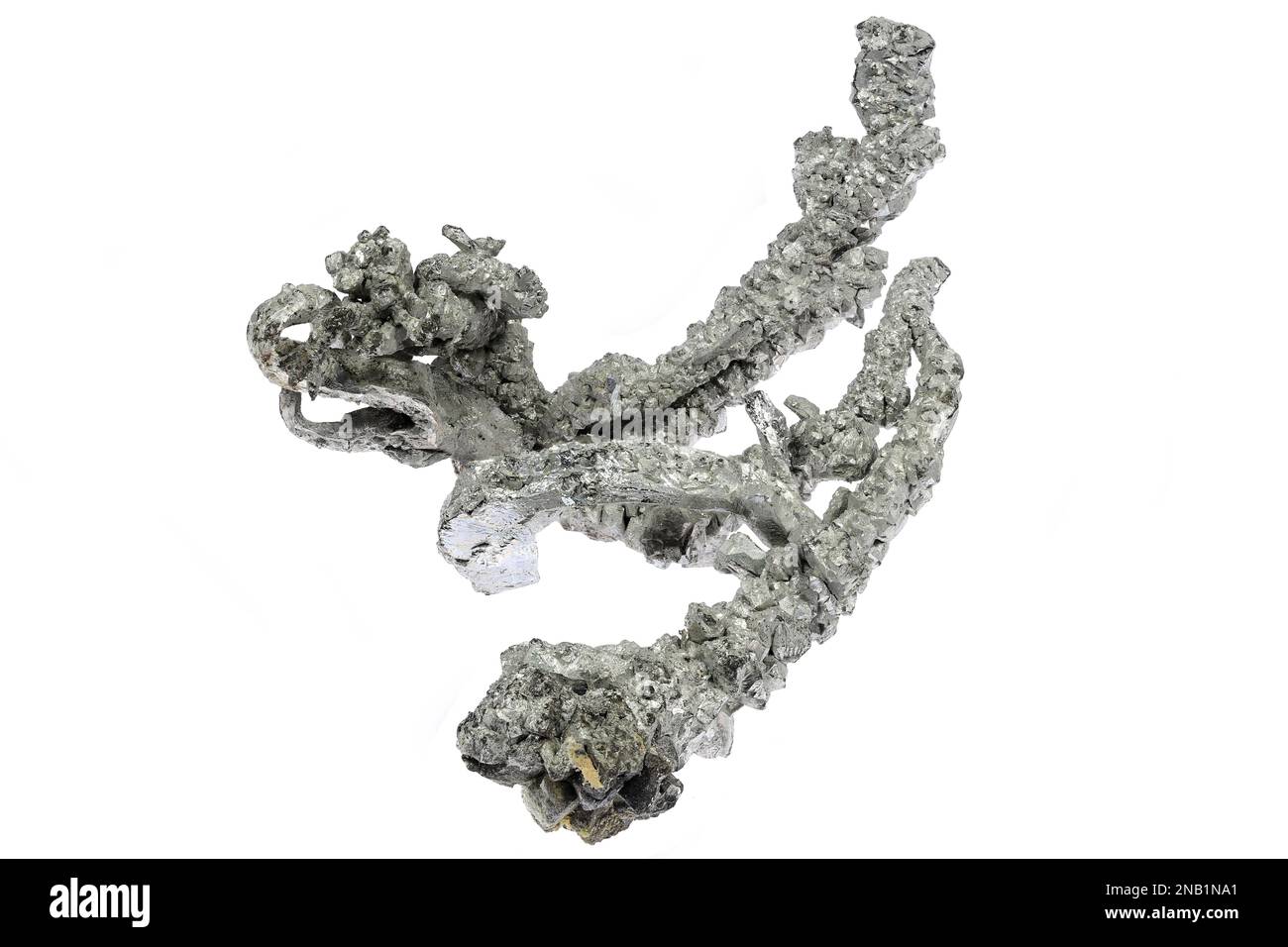 tin from Chihuahua, Mexico isolated on white background Stock Photo - Alamy