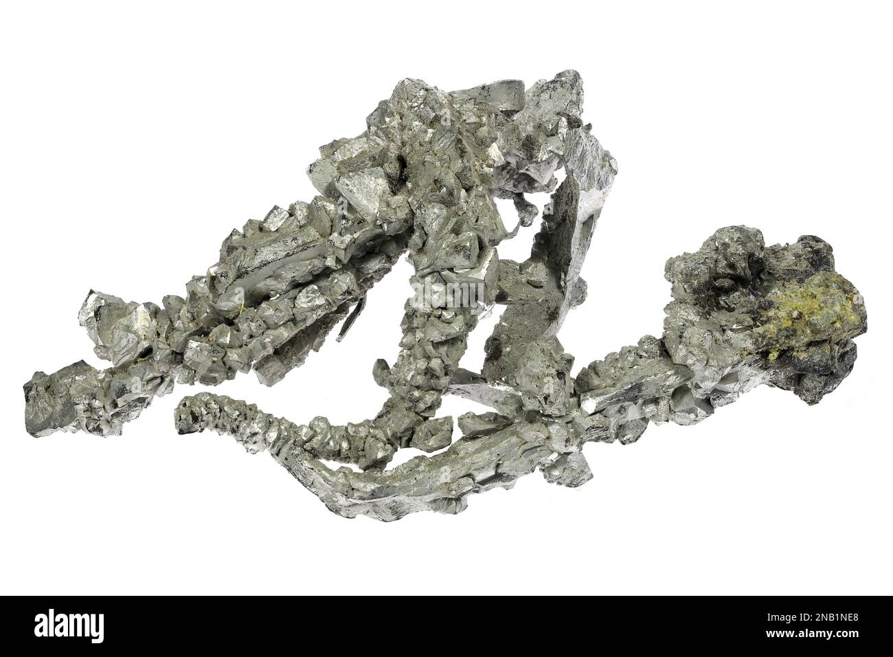 tin from Chihuahua, Mexico isolated on white background Stock Photo - Alamy