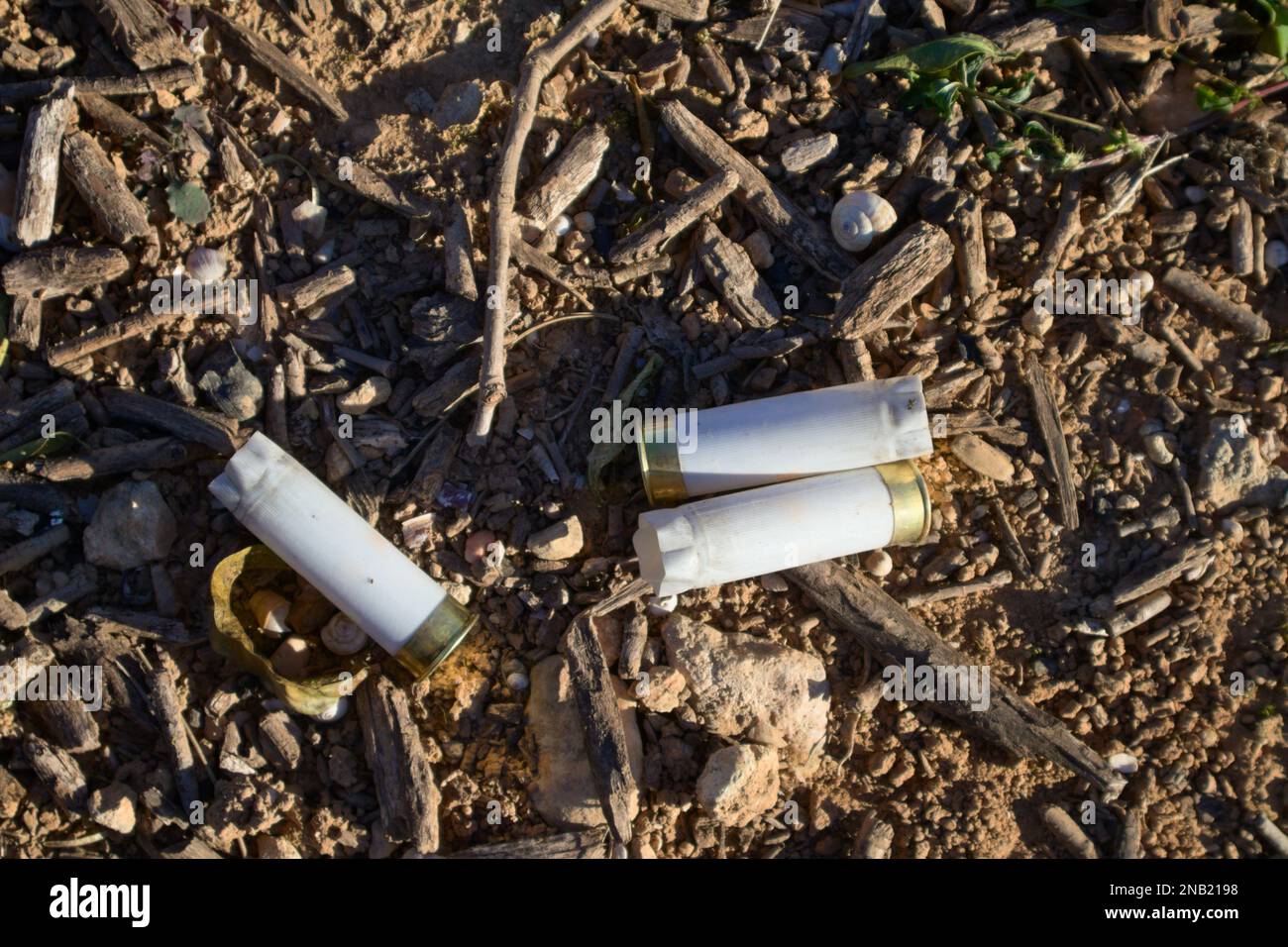 Close-up image of three white cartridges without identifiable markings ...