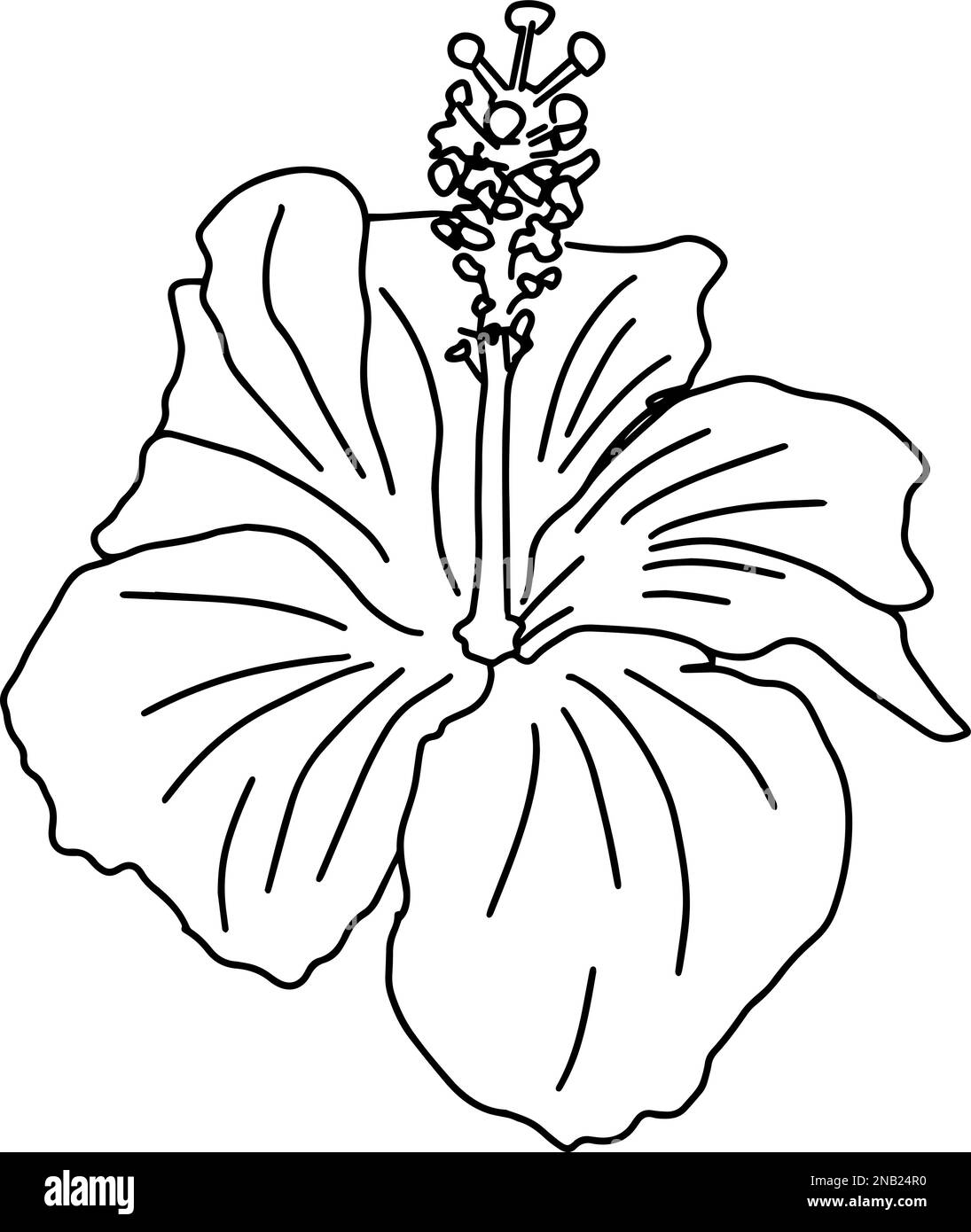 sketch of a big flower Stock Vector Image & Art - Alamy