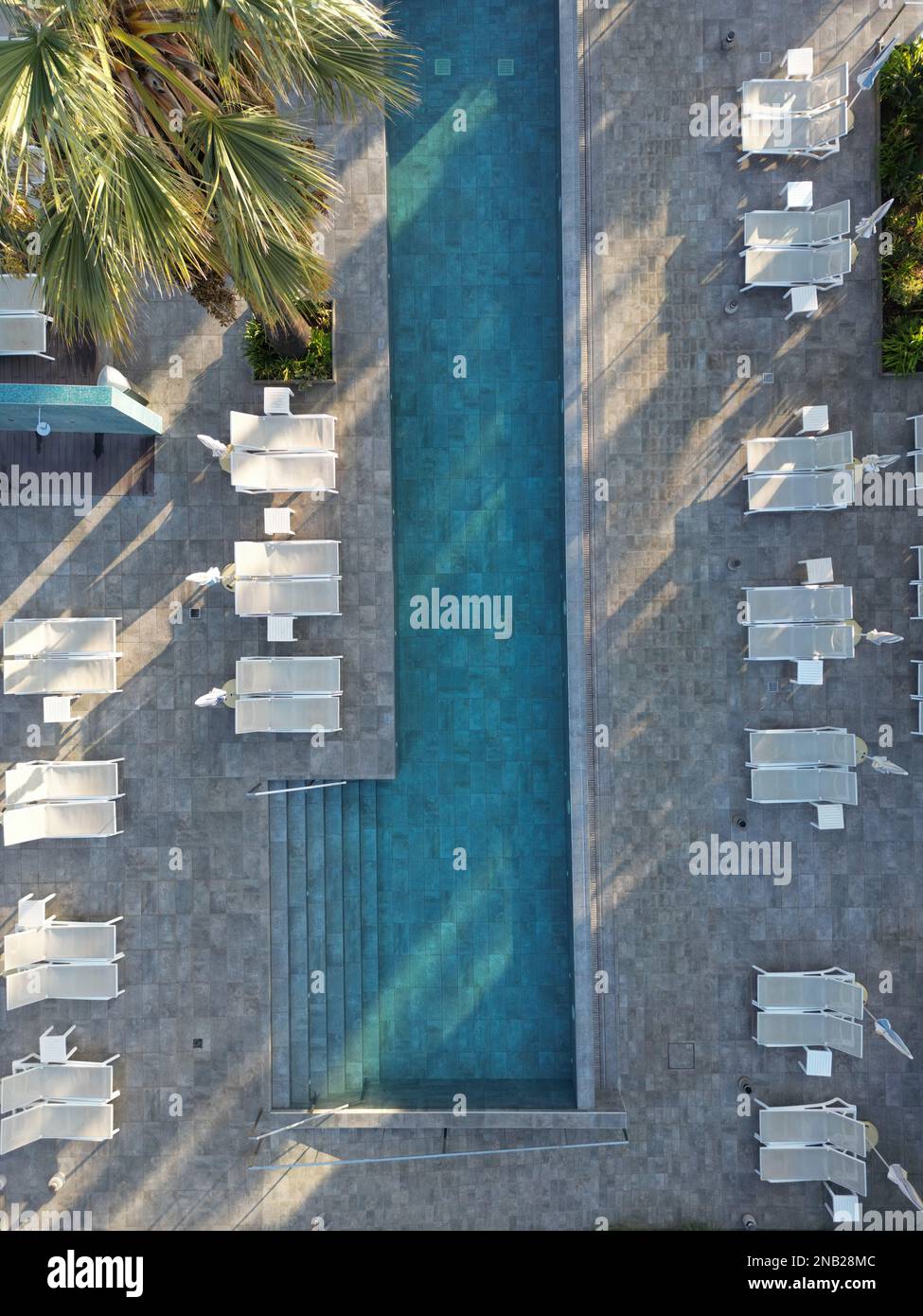 A vertical top view of a long swimming pool and beach chairs in a ...