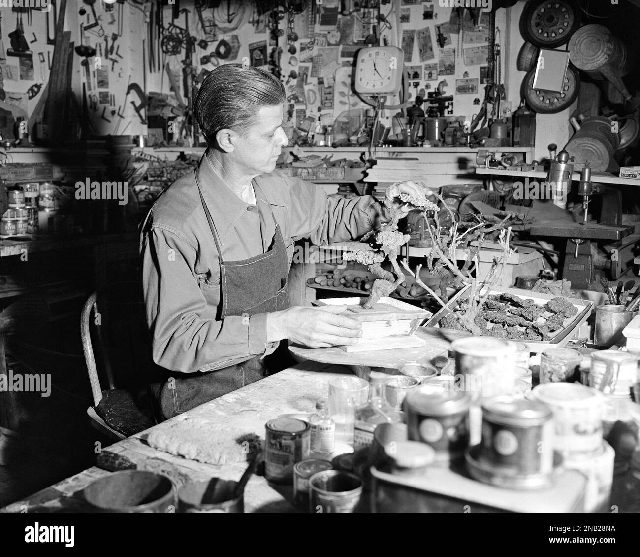 Earl Taylor, 55-year-old retired New Orleans businessman, whose hobby ...