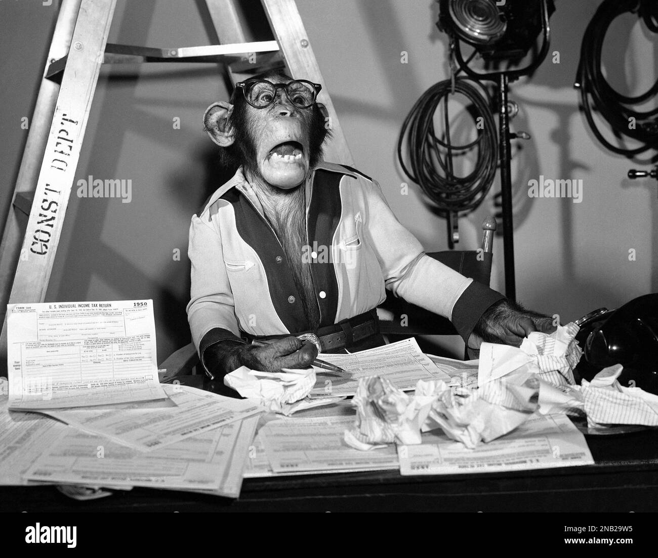 Even with glasses on, Bonzo can’t see how his income tax total will ...