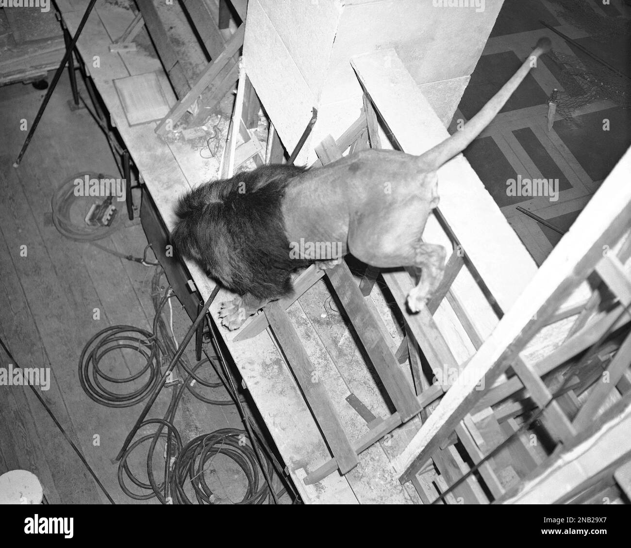 One reason you don’t see any movie technicians, actors, directors or ...