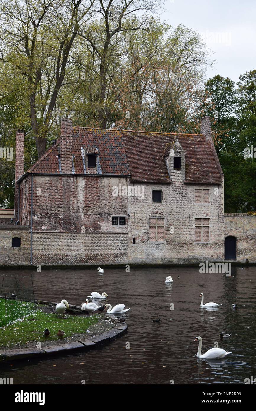 Old houses near water in the medieval part of Bruges, Belgium Stock ...