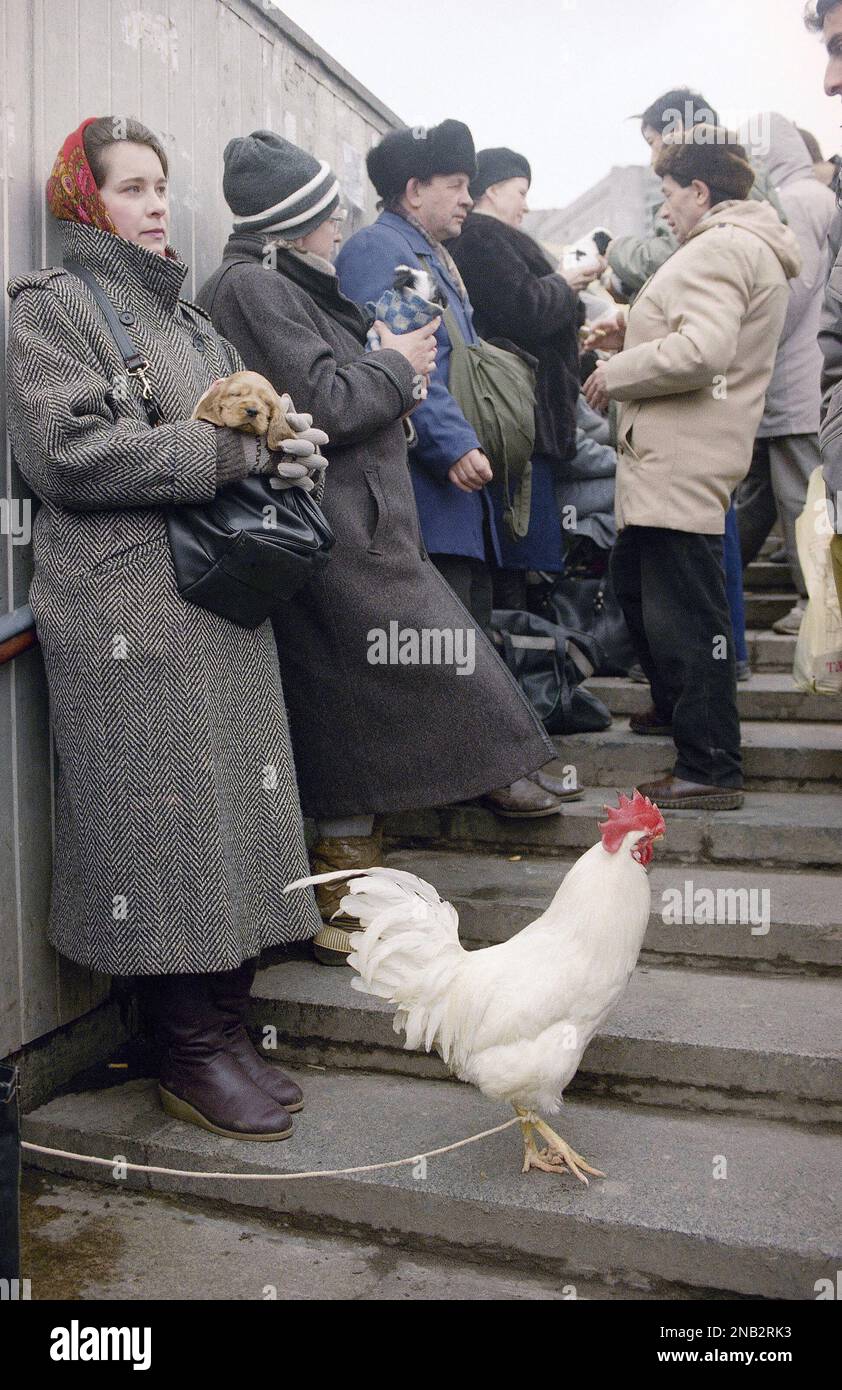 Muscovites display puppies and white rooster in an underground crossing ...