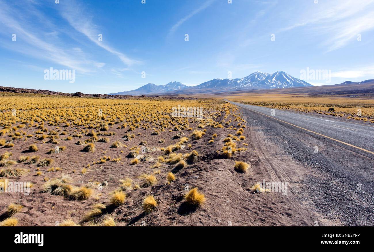 Landscape along the road to miscanti and miniques park, Chile Stock ...