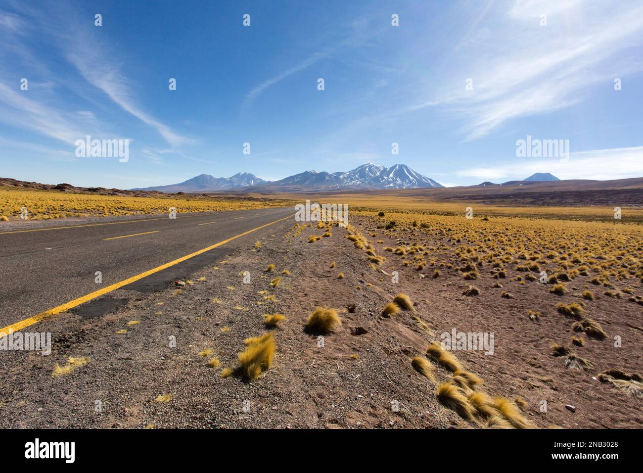 Landscape along the road to miscanti and miniques park, Chile Stock ...