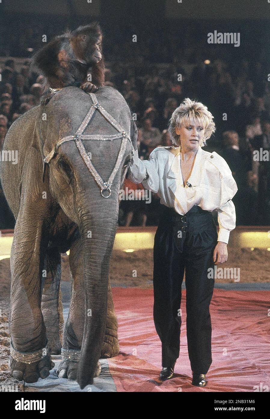 Danish singer and film actress Gitte Haenning, leads an elephant with ...