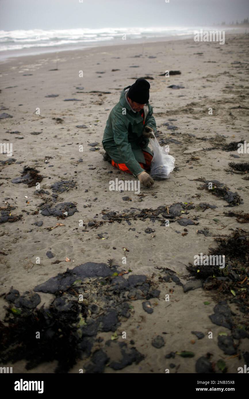 James Gandy removes fuel oil washed on to the Mount Maunganui beach ...
