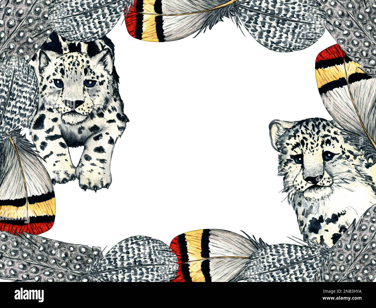 Watercolor frame of feathers and snow leopard on white background ...