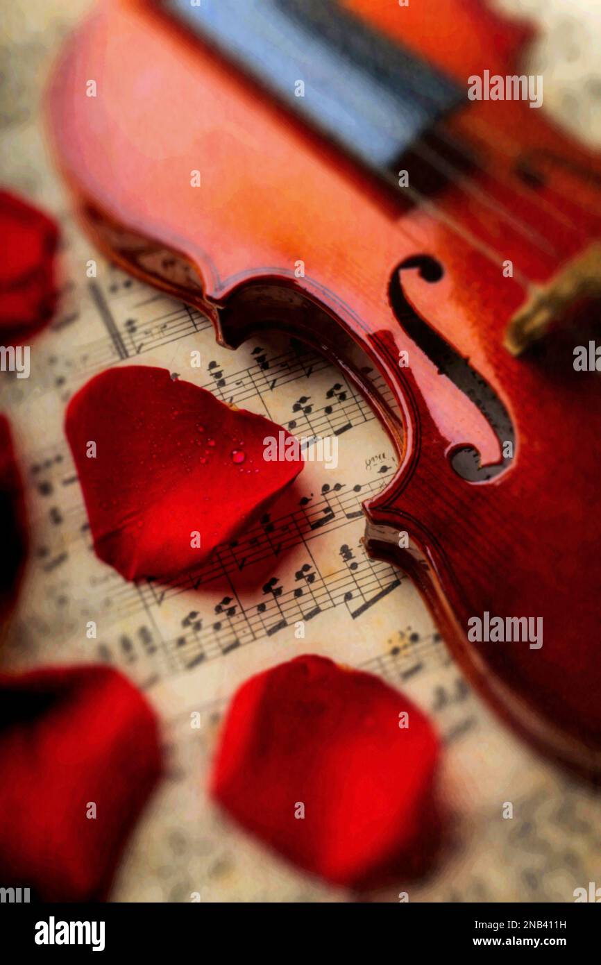 Old Violin And Rose Petals Stock Photo - Alamy