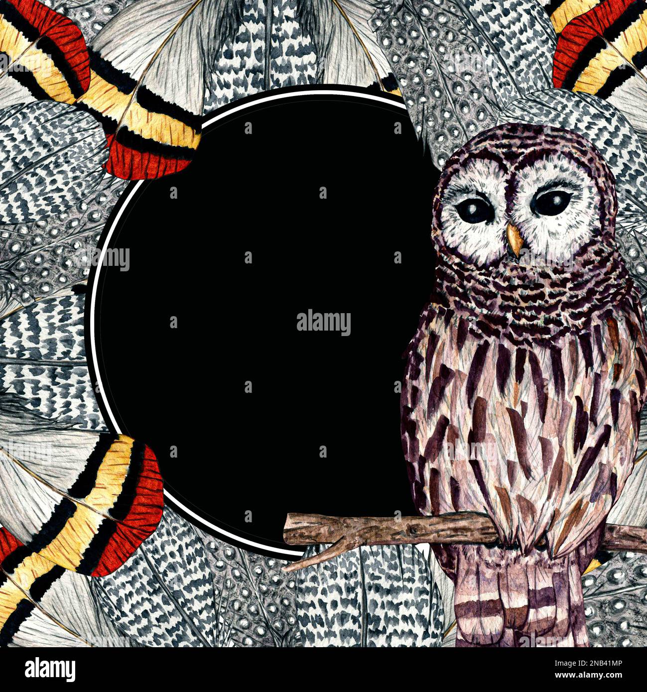 Watercolor frame of feathers and owl on black background. Nature ...
