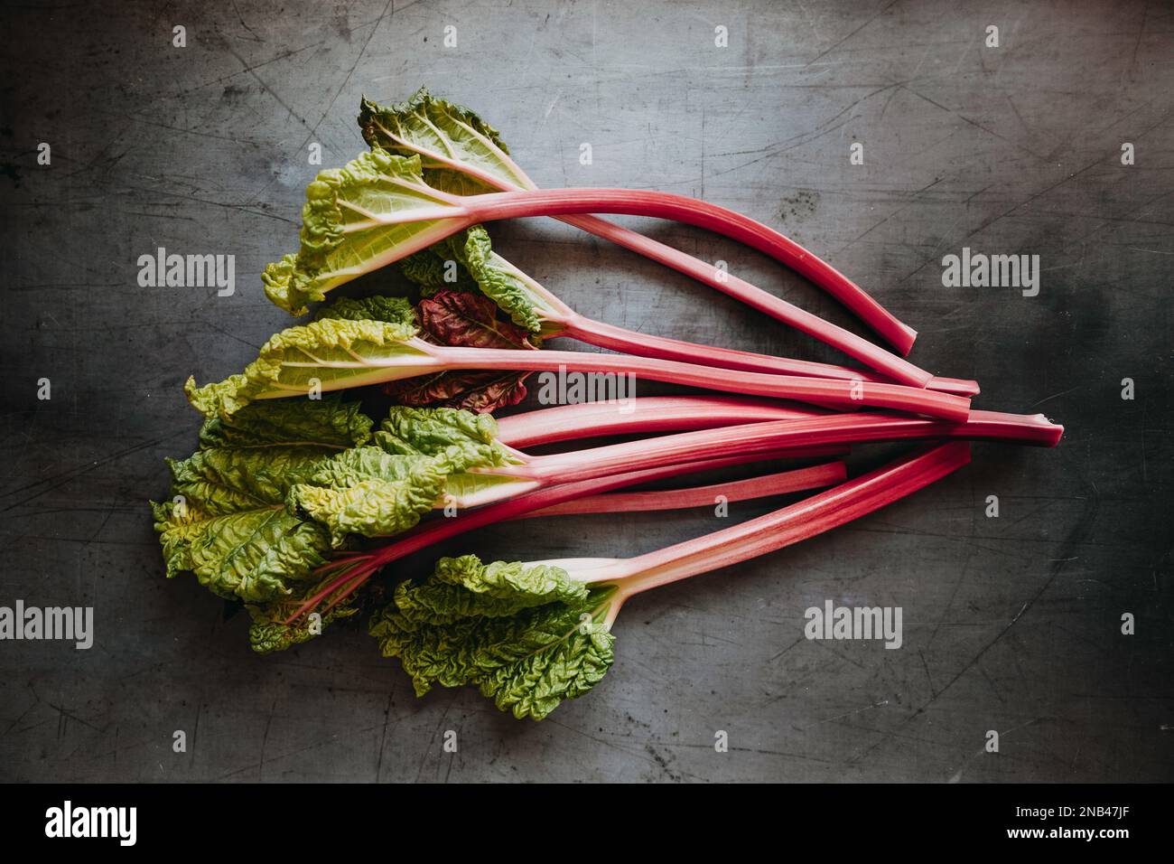 Metal stalks hi-res stock photography and images - Alamy