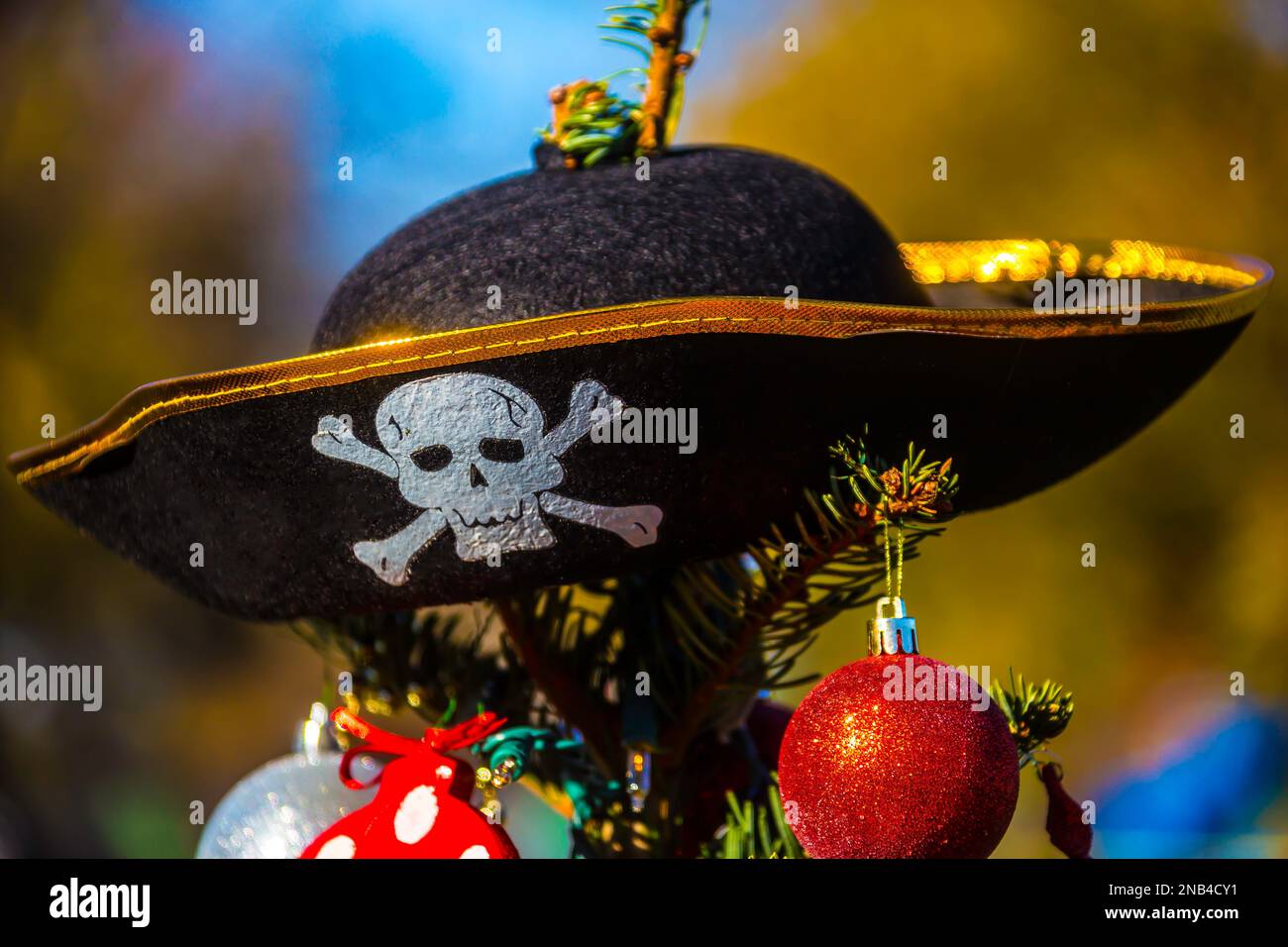 Blue pirate hat hi-res stock photography and images - Alamy