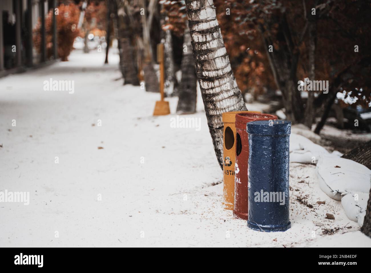 Side view of three cylindrical recycling eco points, plastic in yellow ...