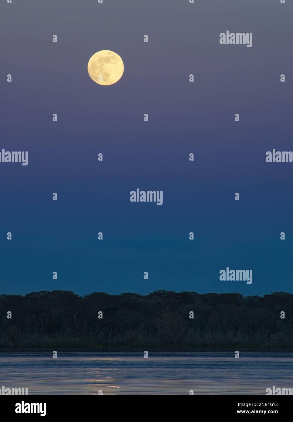 A full moon rises in the dusk sky, over a lake and forest Stock Photo ...