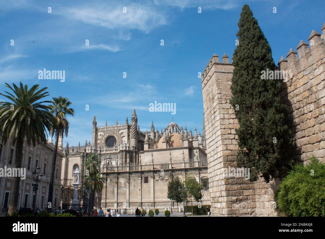 Palm tree seville hi-res stock photography and images - Alamy