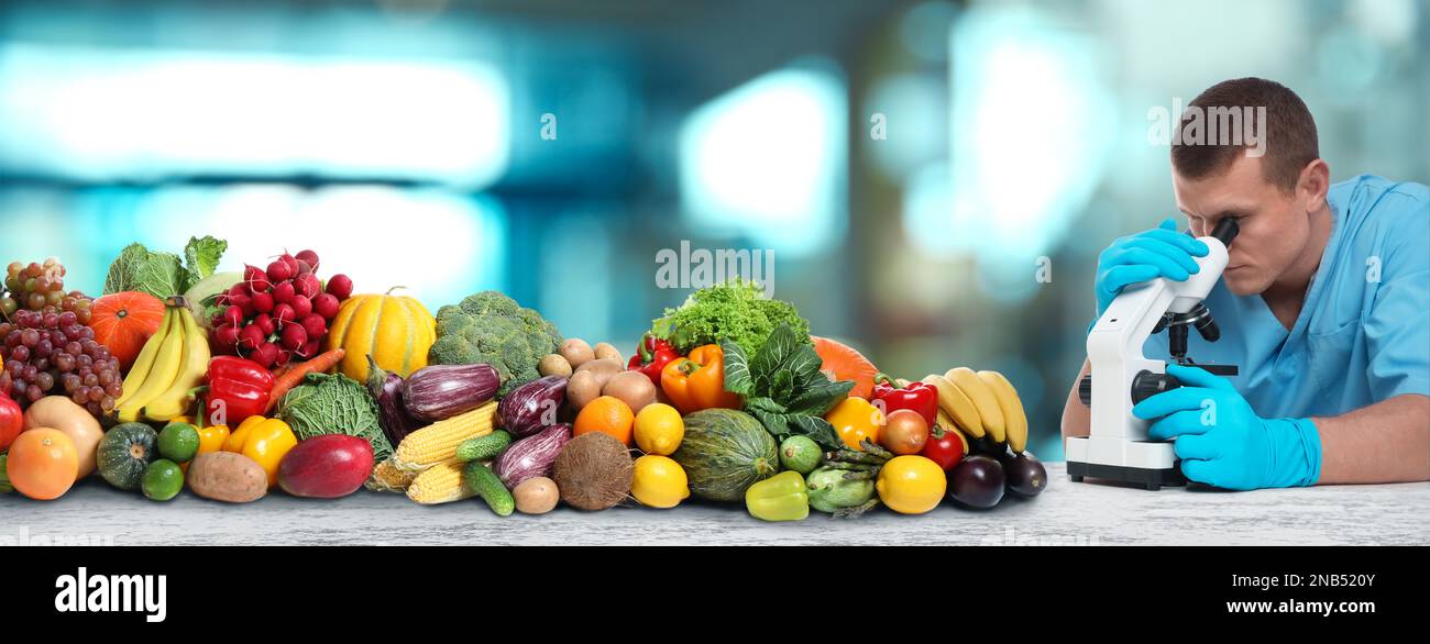Quality control specialist inspecting food in laboratory. Banner design ...