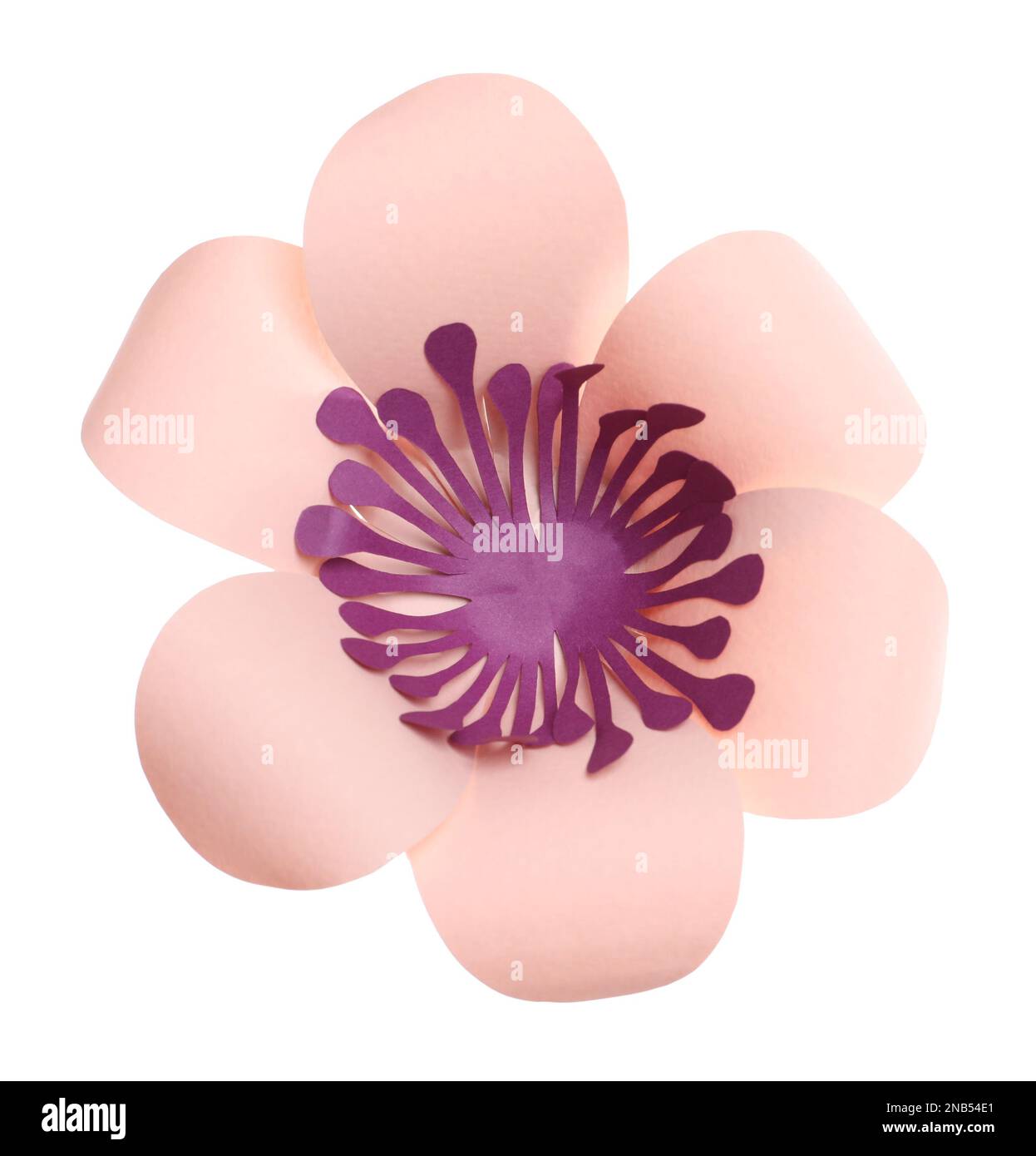 Beautiful flower made of paper isolated on white Stock Photo - Alamy