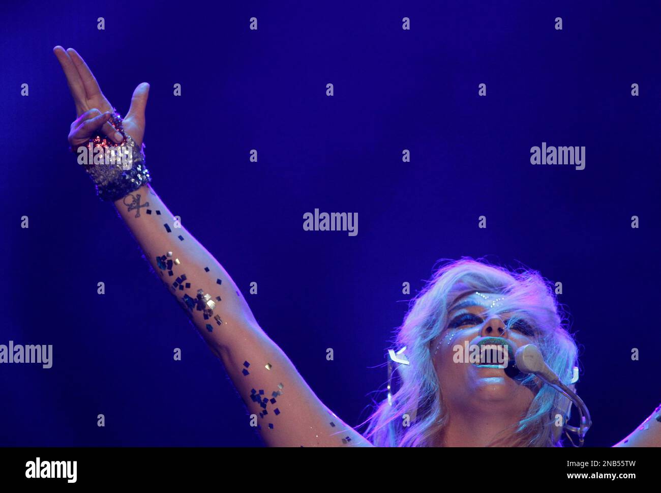 U.S. pop singer Ke$ha performs during the Rock in Rio music festival in ...