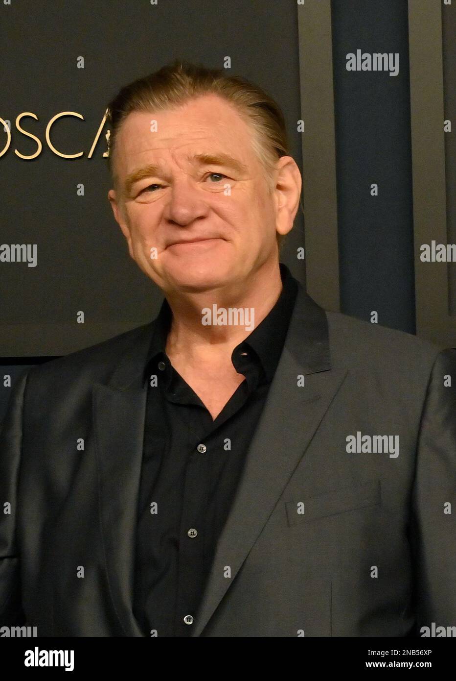 Beverly Hills, United States. 13th Feb, 2023. Brendan Gleeson attends ...