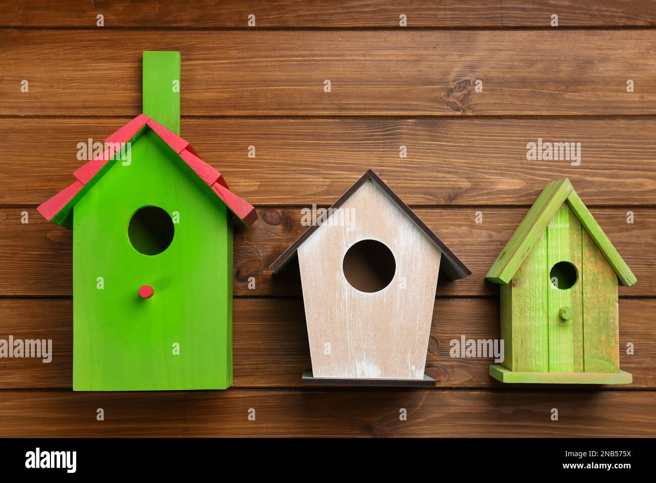 Beautiful layout with bird hi-res stock photography and images - Alamy