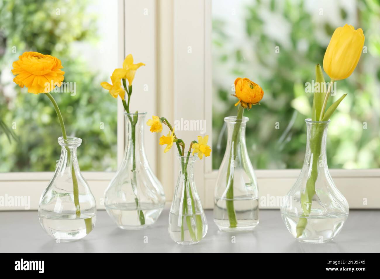 Beautiful fresh spring flowers on window sill indoors Stock Photo - Alamy
