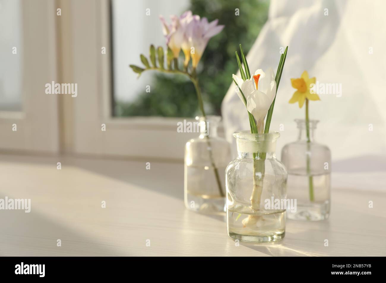 Beautiful spring flowers on window sill indoors Stock Photo - Alamy