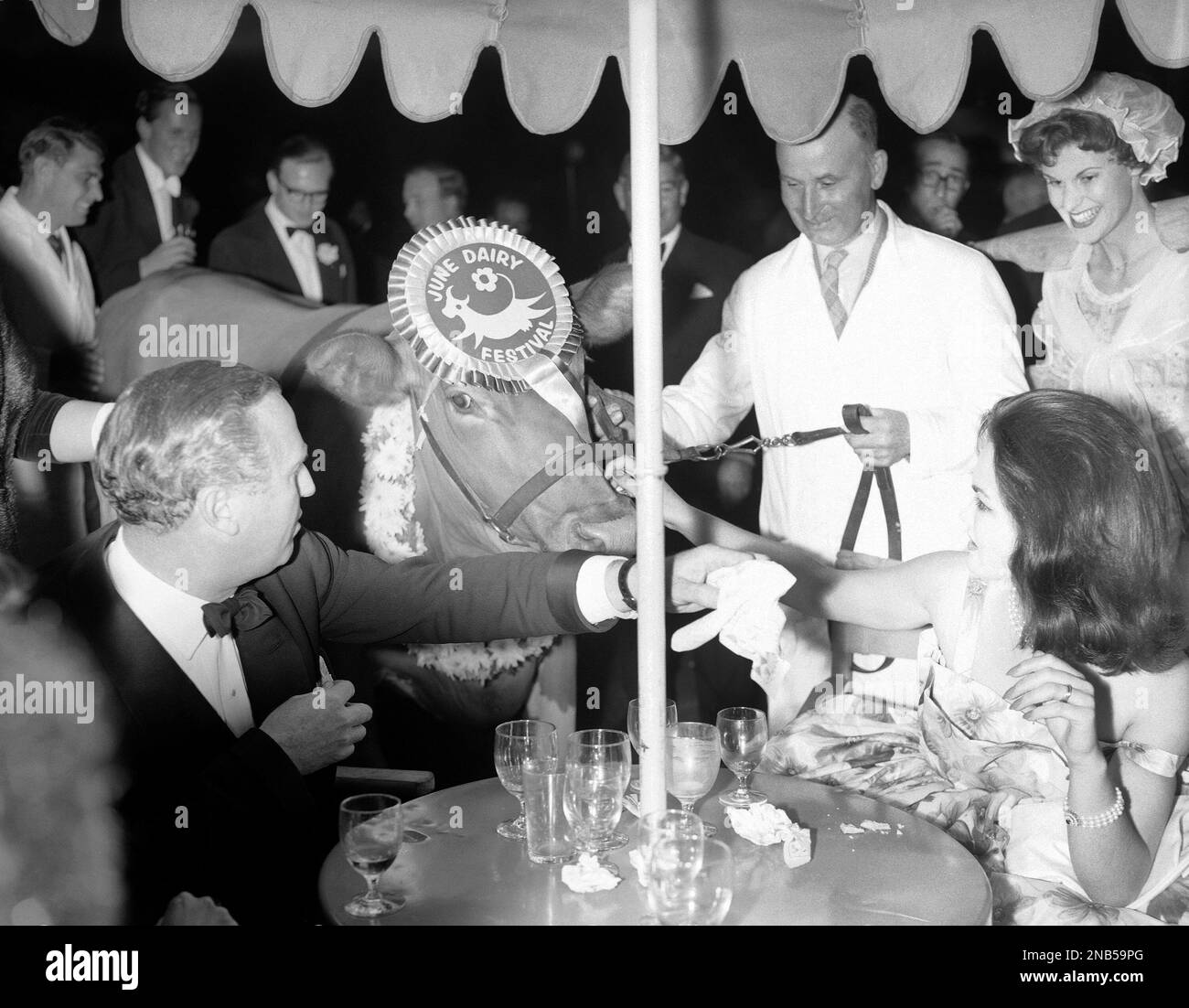 Henrietta Tiarks, one of London’s loveliest socialites, strokes the ...