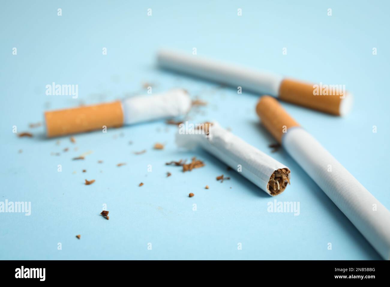 Broken and whole cigarettes on light blue background, closeup. Quitting ...