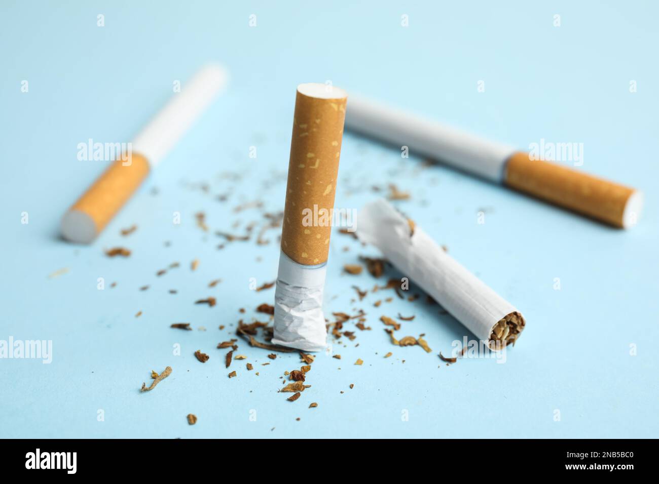 Broken and whole cigarettes on light blue background, closeup. Quitting ...