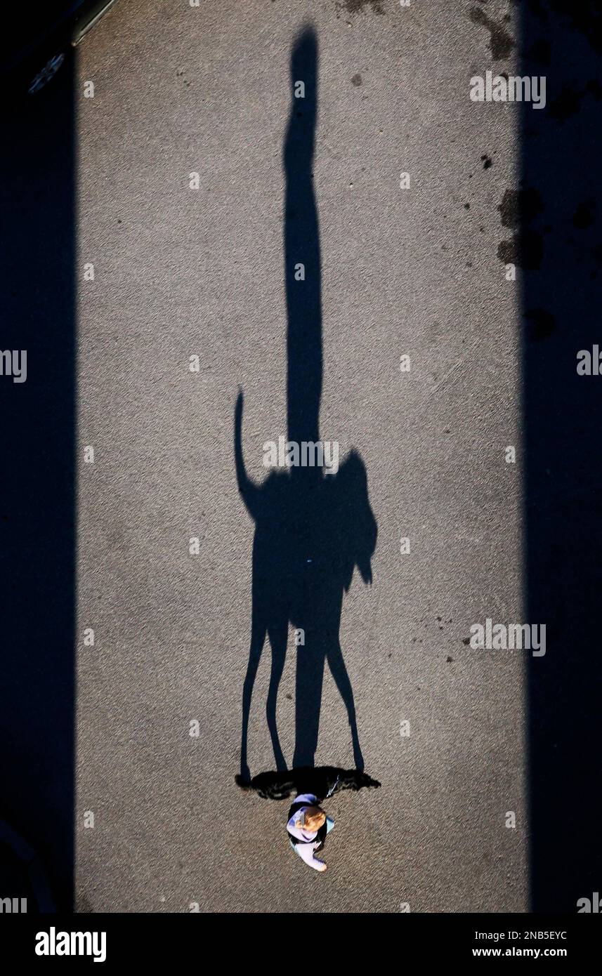 A woman and her dog cast long shadows as they walk in the morning in St ...