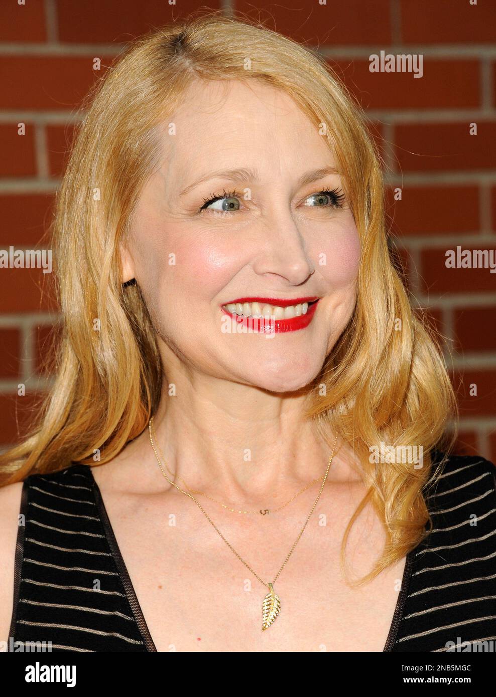 Actress Patricia Clarkson attends the Lifetime and Sony Pictures ...