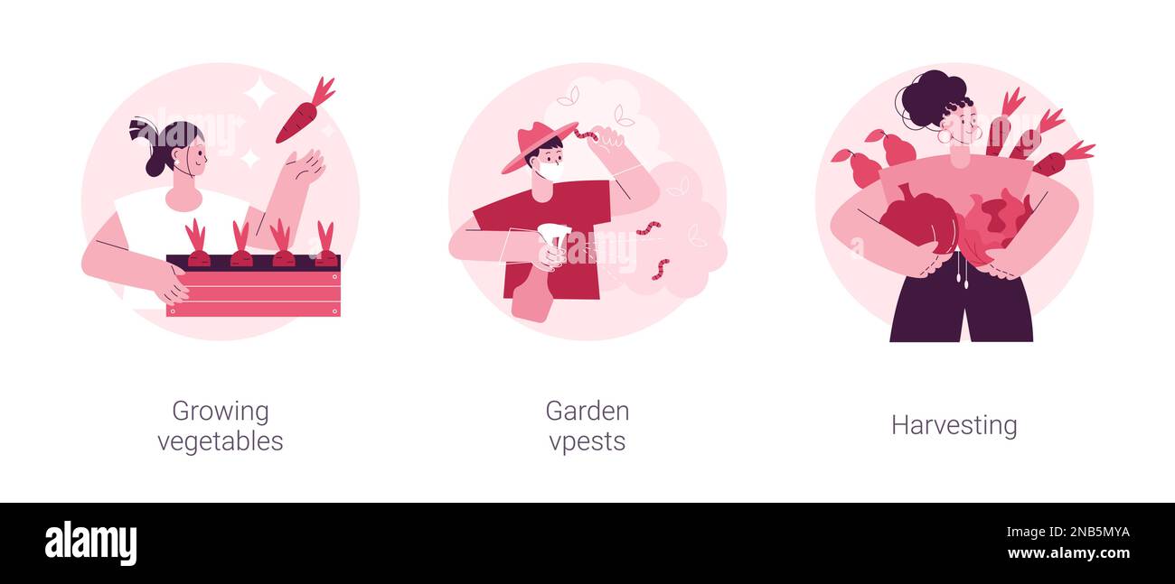 Home gardening abstract concept vector illustration set. Growing ...