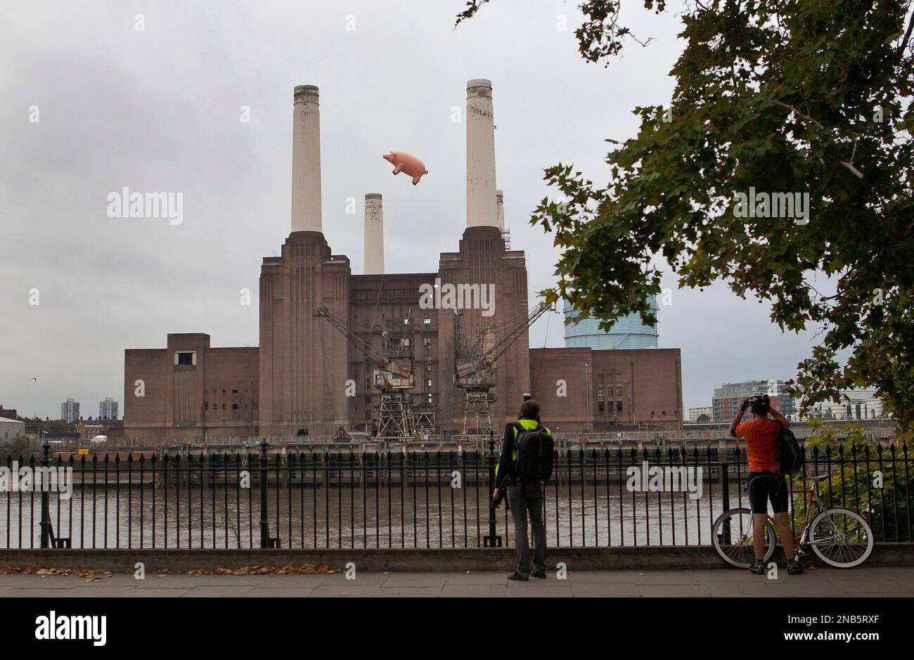 A cyclist takes photographs of an inflatable pink pig, which was made ...