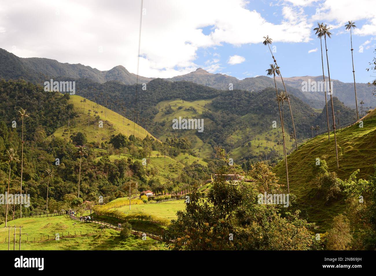 Cocora valley. Los Nevados National Natural Park. Quindio department ...